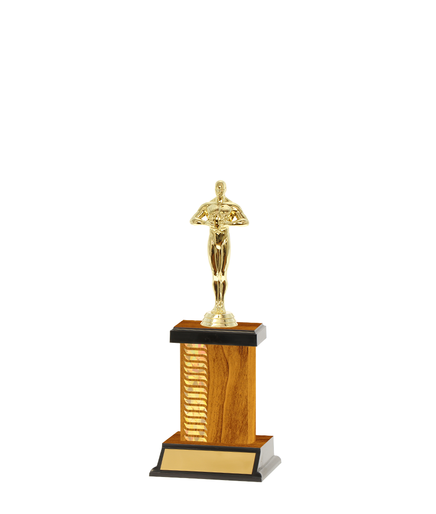 Pattern Trophy On P/Base 14.5cm Plus Figurine