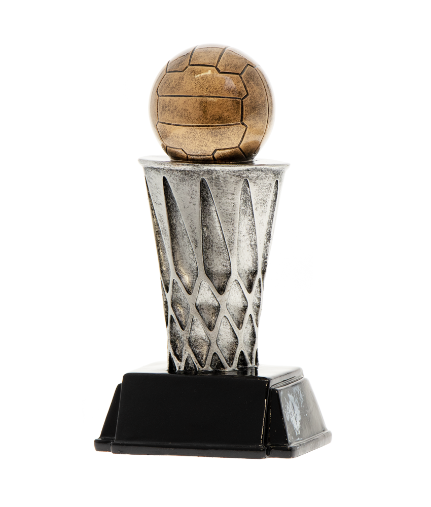 Netball World Class Resin 20cm